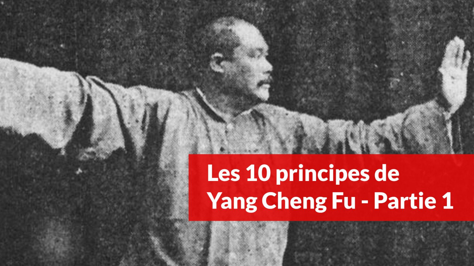 Les 10 principes de Yang Cheng Fu - Partie 1