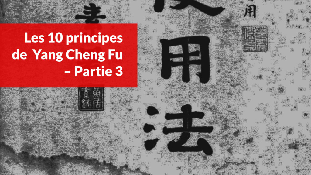 Les 10 principes de Yang Cheng Fu - Partie 3 - Cours de tai chi de ...